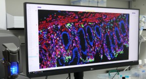 Advertisement Feature | Nature Research Custom