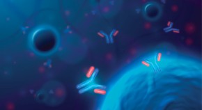 Progress in antibody technology development