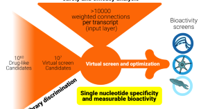 Developments in RNA therapies and technologies