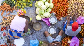 Food security and resilience