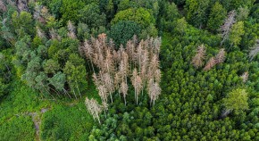 Communications Earth & Environment