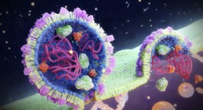 npj Viruses