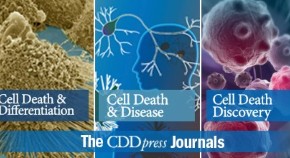 Cell Death Discovery