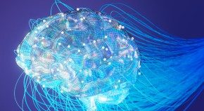 npj Unconventional Computing