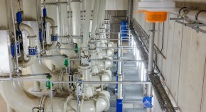 npj Emerging Contaminants