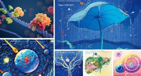 Signal Transduction and Targeted Therapy