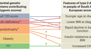 Diabetes - Latest research and news | Nature