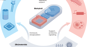 Review Articles | Nature Reviews Bioengineering