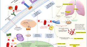 Review Articles | The Journal of Antibiotics