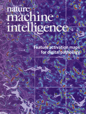 Nature Machine Intelligence