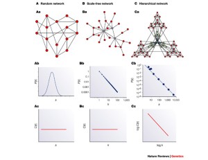 Network biology: understanding the cell's functional organization ...