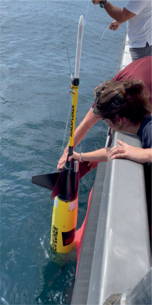 Autonomous underwater gliders to observe the ocean | Nature Reviews ...