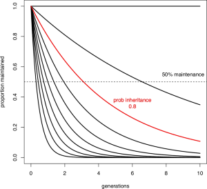 Epimutations: raw material for evolution? | The EMBO Journal | Springer ...