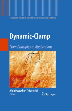 Dynamic-Clamp | SpringerLink