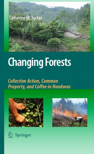 Changing Forests | SpringerLink
