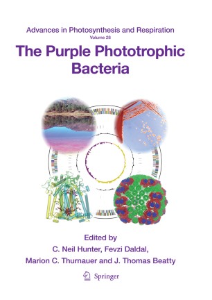 The Purple Phototrophic Bacteria | SpringerLink