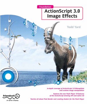 Foundation ActionScript 3.0 Image Effects | SpringerLink