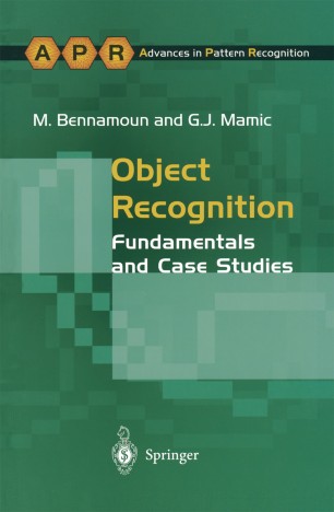 Object Recognition | SpringerLink