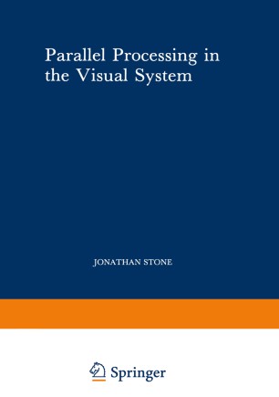 Parallel Processing in the Visual System | SpringerLink
