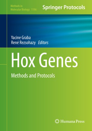 Hox Genes | SpringerLink