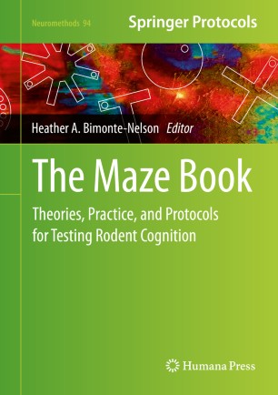 The Maze Book | SpringerLink