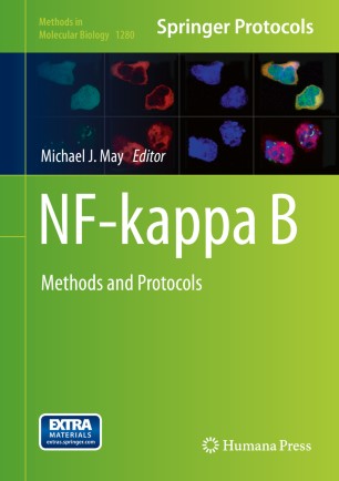 NF-kappa B | SpringerLink