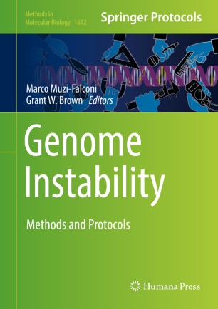 Genome Instability | SpringerLink