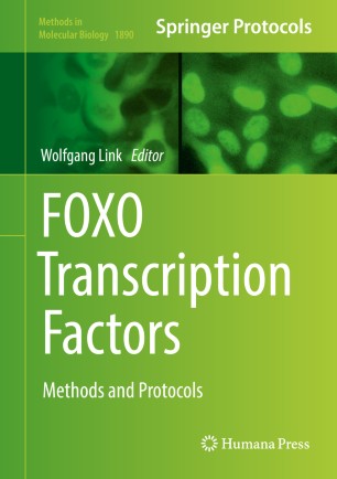 FOXO Transcription Factors | SpringerLink