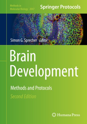Brain Development | SpringerLink
