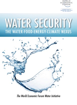 Water Security | SpringerLink