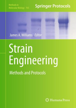Strain Engineering | SpringerLink