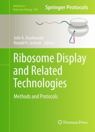 Ribosome Display and Related Technologies | SpringerLink