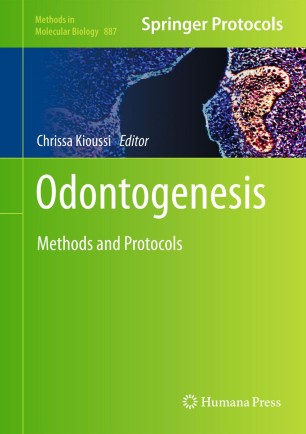 Odontogenesis | SpringerLink