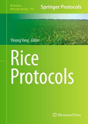 Rice Protocols | SpringerLink