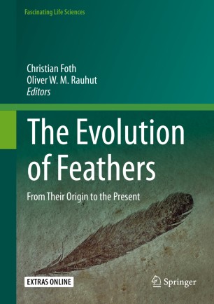 The Evolution of Feathers | SpringerLink