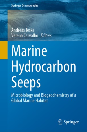 Marine Hydrocarbon Seeps | SpringerLink
