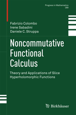 Noncommutative Functional Calculus | SpringerLink