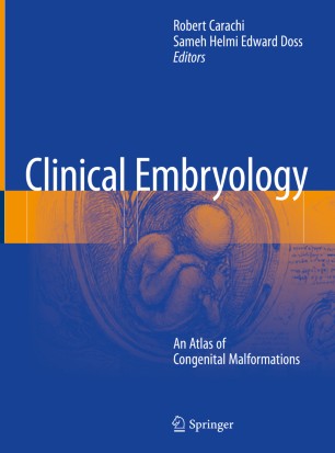 Clinical Embryology | SpringerLink