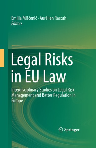 Legal Risks in EU Law | SpringerLink