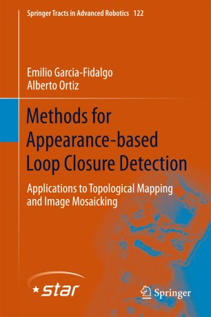 Methods for Appearance-based Loop Closure Detection | SpringerLink