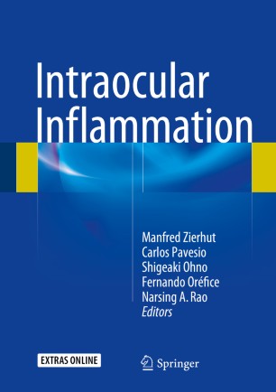 Intraocular Inflammation | SpringerLink