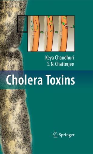 Cholera Toxins | SpringerLink