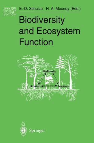 Biodiversity and Ecosystem Function | SpringerLink