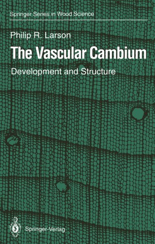The Vascular Cambium | SpringerLink