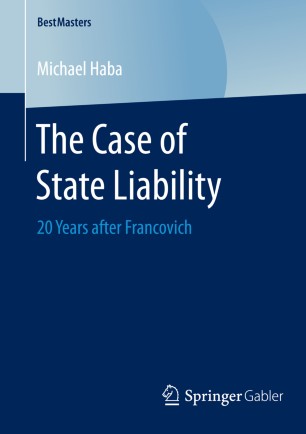 The Case of State Liability | SpringerLink
