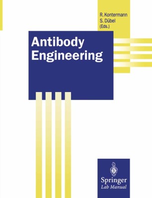Antibody Engineering | SpringerLink