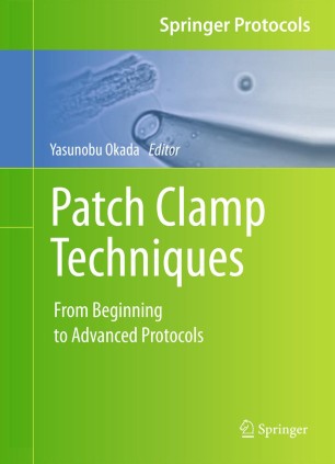 Patch Clamp Techniques | SpringerLink