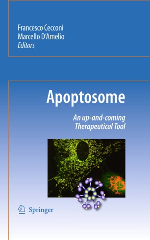 Apoptosome | SpringerLink