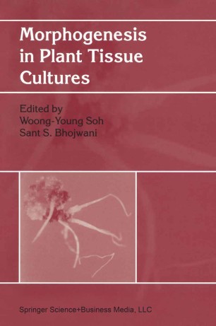 Morphogenesis in Plant Tissue Cultures | SpringerLink