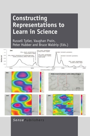 Constructing Representations to Learn in Science | SpringerLink